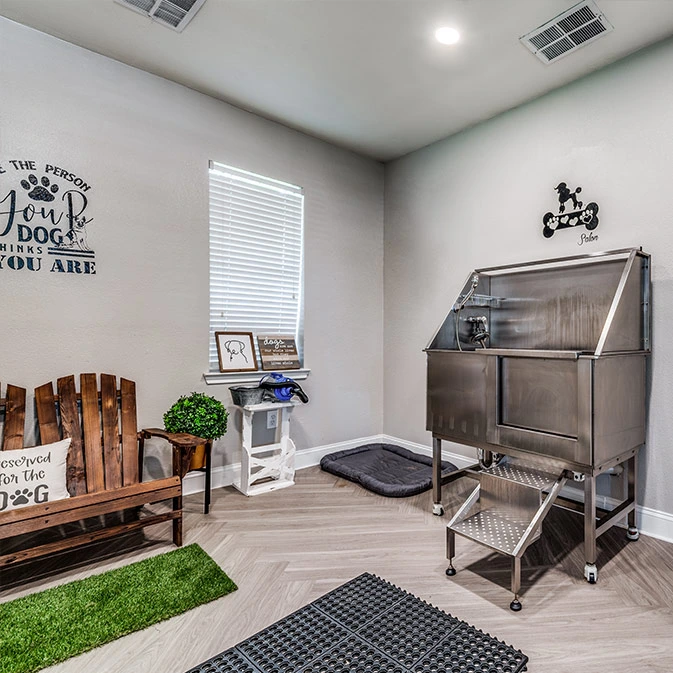 Onsite Doggy Daycare & Pet Shuttle Service | Dane Park Grapevine